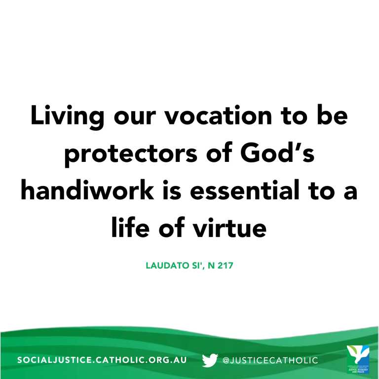 Laudato Si' Week Resources - Office For Justice, Ecology and Peace